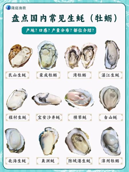 海蛎子和生蚝的区别_哪个营养价值更高-第3张图片-山城妙识 海蛎子和生蚝的区别_哪个营养价值更高-第3张图片-山城妙识