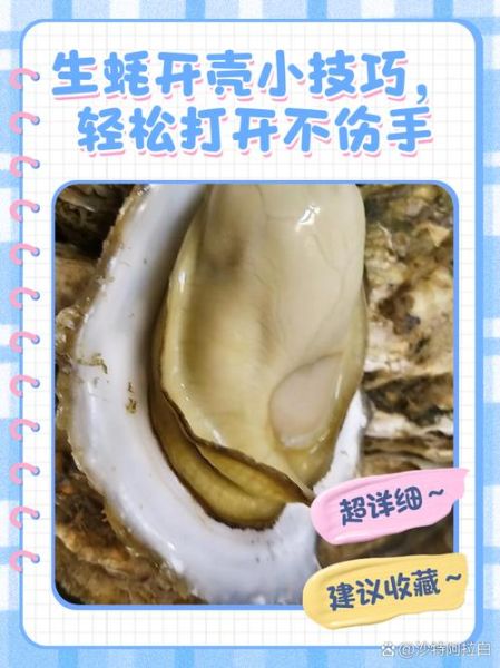 生蚝怎么开壳_开生蚝壳最简单方法-第2张图片-山城妙识 生蚝怎么开壳_开生蚝壳最简单方法-第2张图片-山城妙识