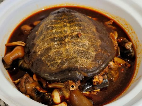 清蒸甲鱼怎么做才嫩_清蒸甲鱼最简单的方法-第3张图片-山城妙识 清蒸甲鱼怎么做才嫩_清蒸甲鱼最简单的方法-第3张图片-山城妙识