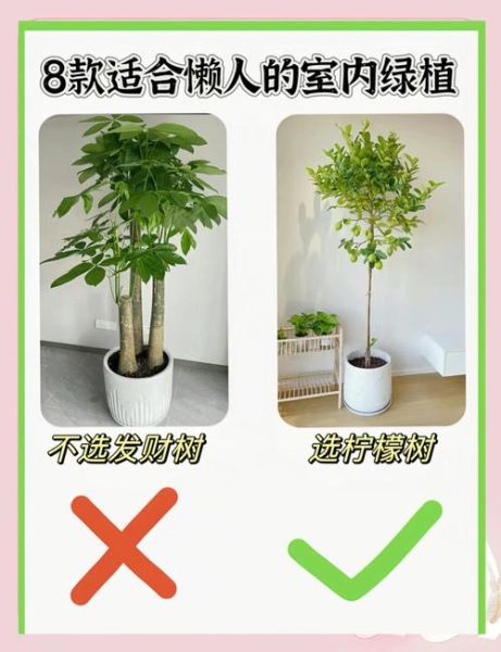 小面积室内养殖项目有哪些_适合新手吗-第1张图片-山城妙识 小面积室内养殖项目有哪些_适合新手吗-第1张图片-山城妙识