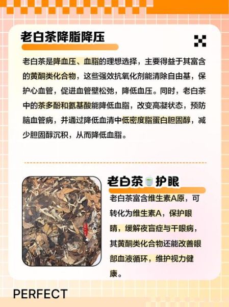老白茶的功效与作用_老白茶有哪些禁忌-第1张图片-山城妙识 老白茶的功效与作用_老白茶有哪些禁忌-第1张图片-山城妙识