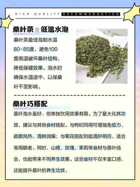 桑叶泡水喝的功效与禁忌_桑叶茶怎么喝才正确-第1张图片-山城妙识