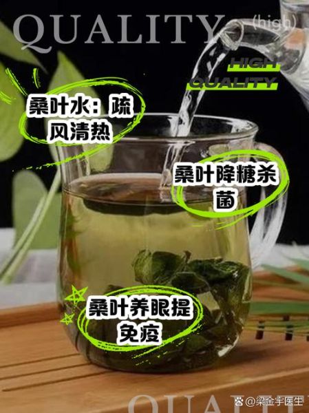 桑叶泡水喝的功效与禁忌_桑叶茶怎么喝才正确-第2张图片-山城妙识