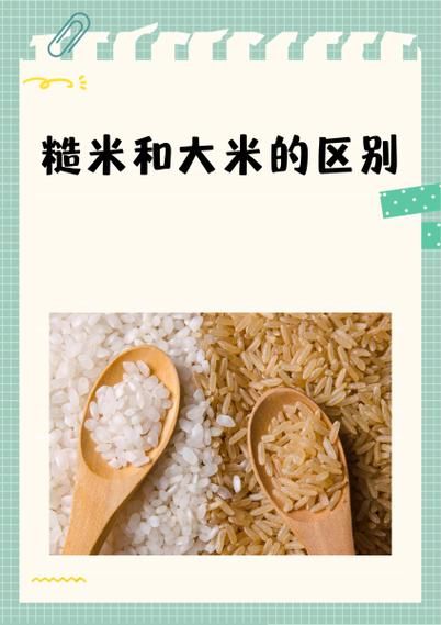 糙米怎么读_糙米和大米区别-第2张图片-山城妙识 糙米怎么读_糙米和大米区别-第2张图片-山城妙识