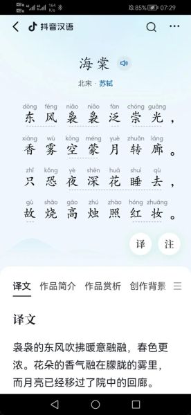 海棠文学是什么_海棠文学怎么写-第2张图片-山城妙识 海棠文学是什么_海棠文学怎么写-第2张图片-山城妙识