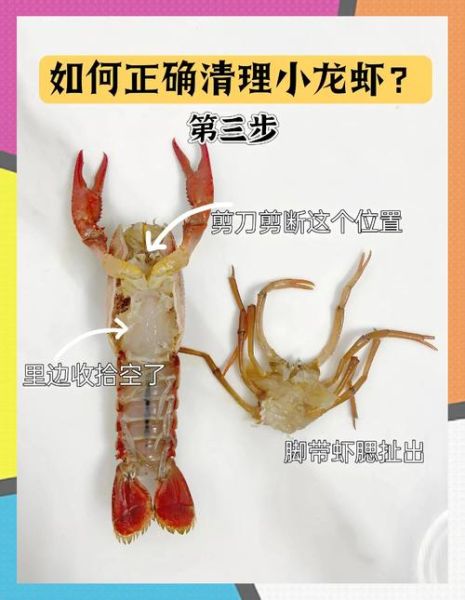 龙虾怎么清洗_龙虾怎么处理最干净-第1张图片-山城妙识 龙虾怎么清洗_龙虾怎么处理最干净-第1张图片-山城妙识