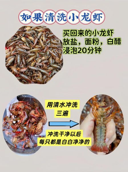 龙虾怎么清洗_龙虾怎么处理最干净-第3张图片-山城妙识 龙虾怎么清洗_龙虾怎么处理最干净-第3张图片-山城妙识