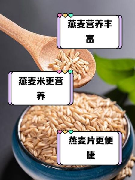 燕麦米不能和什么一起吃_燕麦米相克食物有哪些-第1张图片-山城妙识 燕麦米不能和什么一起吃_燕麦米相克食物有哪些-第1张图片-山城妙识