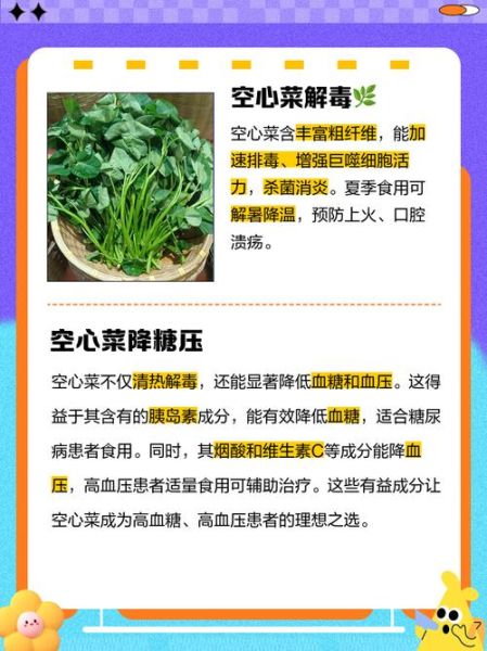 空心菜的功效与危害_什么人不能吃-第3张图片-山城妙识 空心菜的功效与危害_什么人不能吃-第3张图片-山城妙识