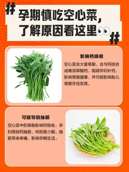 空心菜的功效与危害_什么人不能吃-第2张图片-山城妙识 空心菜的功效与危害_什么人不能吃-第2张图片-山城妙识