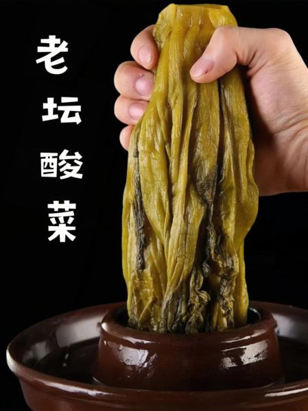 老坛酸菜怎么做_正宗老坛酸菜做法-第3张图片-山城妙识 老坛酸菜怎么做_正宗老坛酸菜做法-第3张图片-山城妙识