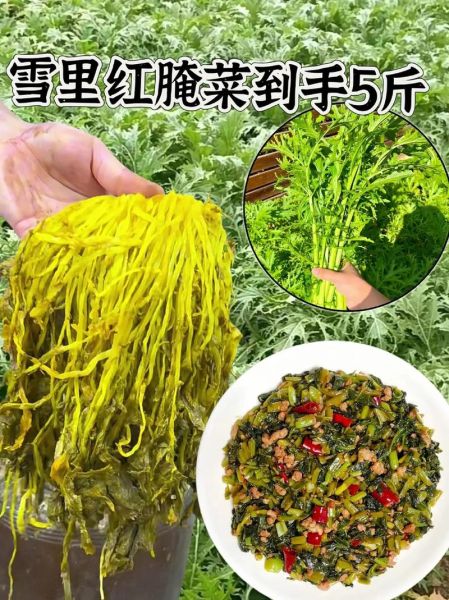 雪里红和芥菜的区别_哪个更适合腌制-第1张图片-山城妙识 雪里红和芥菜的区别_哪个更适合腌制-第1张图片-山城妙识