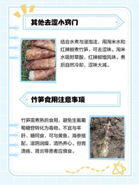 鲜笋怎么处理才不涩味_鲜笋去涩味最快的方法-第1张图片-山城妙识 鲜笋怎么处理才不涩味_鲜笋去涩味最快的方法-第1张图片-山城妙识