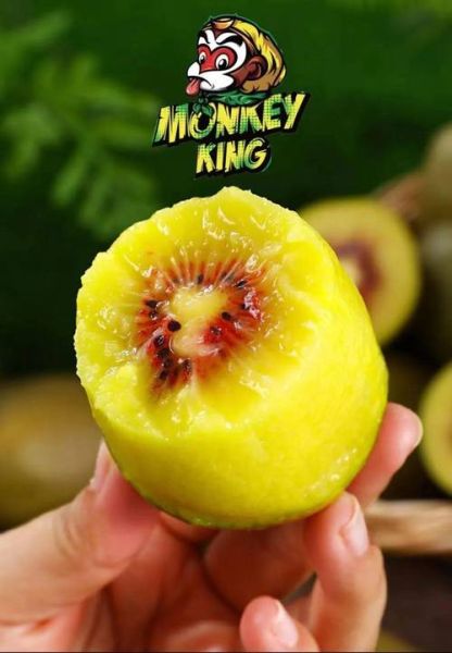 红心猕猴桃产地在哪里_哪里的最甜-第3张图片-山城妙识