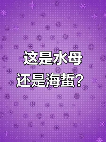 吃的海蜇是水母吗_海蜇和水母的区别-第3张图片-山城妙识 吃的海蜇是水母吗_海蜇和水母的区别-第3张图片-山城妙识