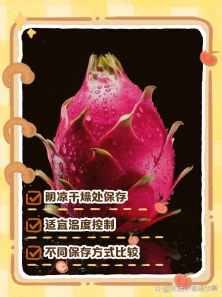 火龙果什么时候吃最好_火龙果最佳食用时间-第2张图片-山城妙识 火龙果什么时候吃最好_火龙果最佳食用时间-第2张图片-山城妙识