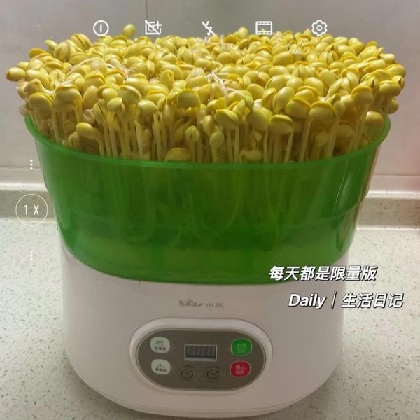 在家怎么做黄豆芽_黄豆芽发芽温度多少合适-第2张图片-山城妙识