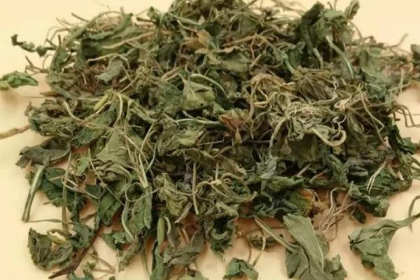 地黄瓜的功效与作用_地黄瓜怎么吃最营养-第1张图片-山城妙识 地黄瓜的功效与作用_地黄瓜怎么吃最营养-第1张图片-山城妙识