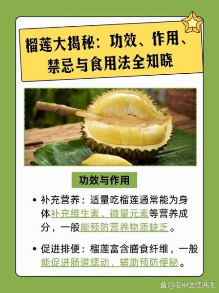 吃榴莲的好处和坏处有哪些_榴莲吃多了会上火吗-第1张图片-山城妙识 吃榴莲的好处和坏处有哪些_榴莲吃多了会上火吗-第1张图片-山城妙识