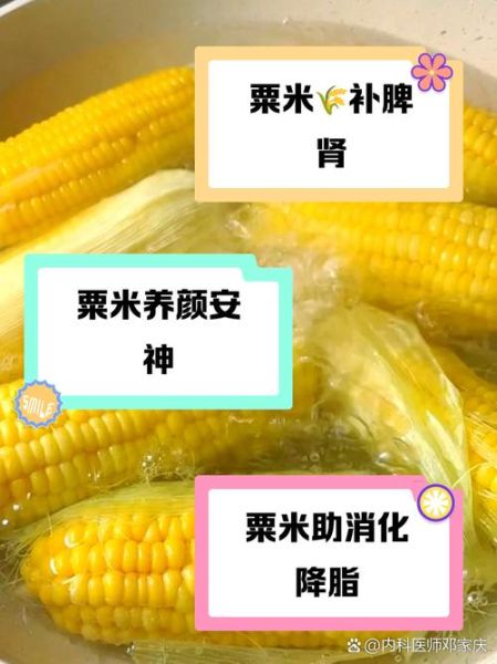 粟米怎么煮才软糯_粟米营养价值有哪些-第1张图片-山城妙识