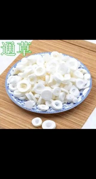 通草长什么样子_通草真假辨别方法-第1张图片-山城妙识 通草长什么样子_通草真假辨别方法-第1张图片-山城妙识