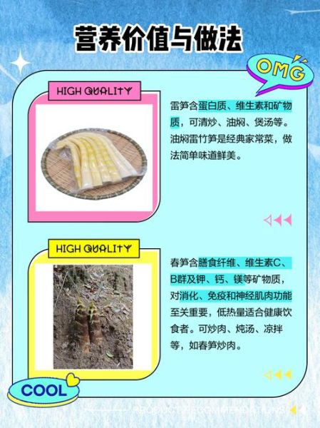 姣笋的种类有哪些_姣笋和雷笋区别是什么-第1张图片-山城妙识 姣笋的种类有哪些_姣笋和雷笋区别是什么-第1张图片-山城妙识