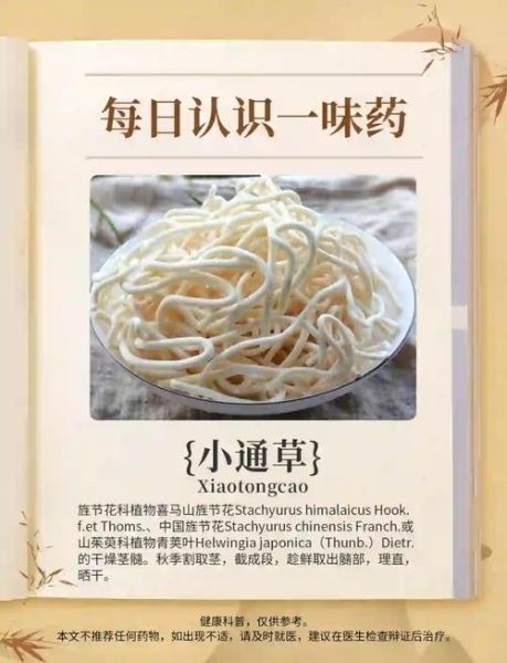 通草长什么样子_通草真假辨别方法-第2张图片-山城妙识 通草长什么样子_通草真假辨别方法-第2张图片-山城妙识