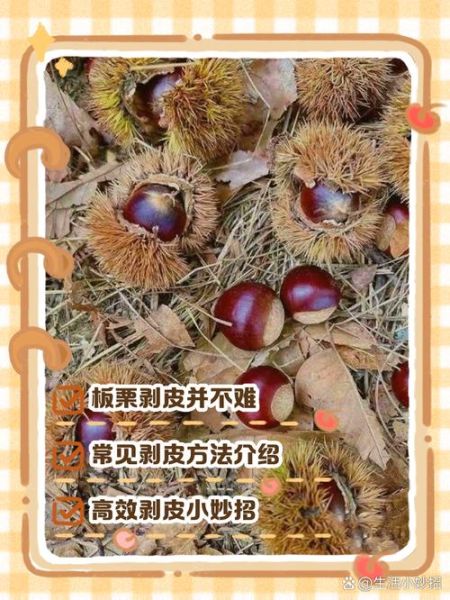 怎样去板栗壳和内皮_生板栗怎么去皮最快-第1张图片-山城妙识 怎样去板栗壳和内皮_生板栗怎么去皮最快-第1张图片-山城妙识