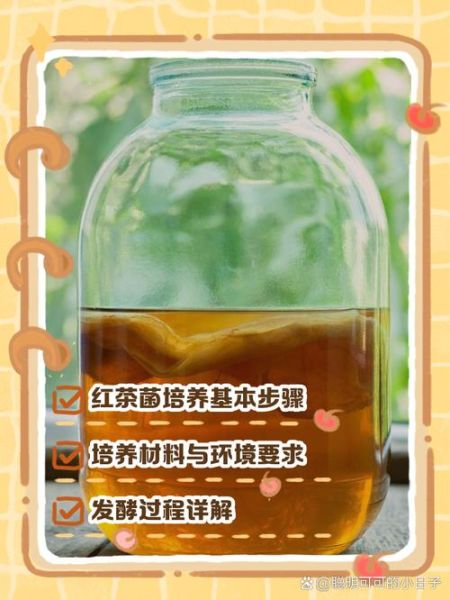 红茶菌的功效与作用_如何自制红茶菌-第2张图片-山城妙识 红茶菌的功效与作用_如何自制红茶菌-第2张图片-山城妙识