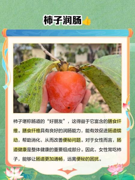 女人吃柿子有什么好处_女性吃柿子的功效与禁忌-第1张图片-山城妙识