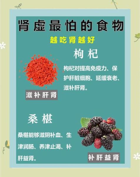 吃什么补肾气效果好_肾虚吃什么食物最快-第3张图片-山城妙识