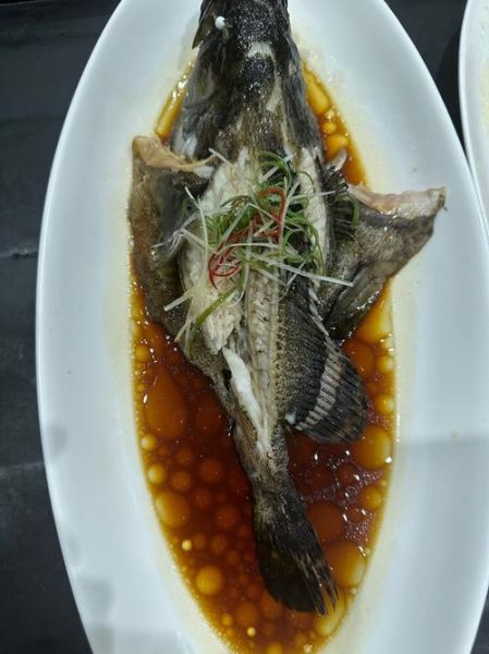 淡水石斑鱼多少钱一斤_淡水石斑鱼价格走势-第3张图片-山城妙识 淡水石斑鱼多少钱一斤_淡水石斑鱼价格走势-第3张图片-山城妙识