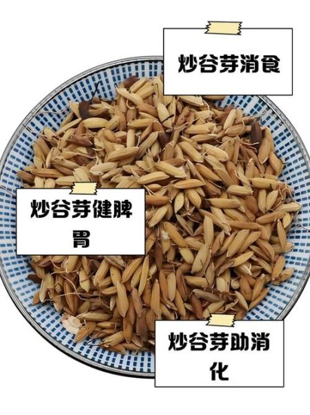 生谷芽与炒谷芽的区别_哪个更适合健脾开胃-第3张图片-山城妙识 生谷芽与炒谷芽的区别_哪个更适合健脾开胃-第3张图片-山城妙识
