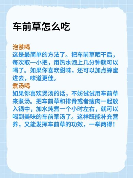 车前草怎么吃_车前草的做法大全-第1张图片-山城妙识 车前草怎么吃_车前草的做法大全-第1张图片-山城妙识