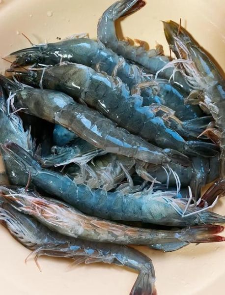 烤箱烤虾怎么烤_烤虾的做法烤箱温度时间-第1张图片-山城妙识 烤箱烤虾怎么烤_烤虾的做法烤箱温度时间-第1张图片-山城妙识