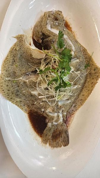 冰鲜多宝鱼怎么做好吃_多宝鱼清蒸还是红烧-第3张图片-山城妙识 冰鲜多宝鱼怎么做好吃_多宝鱼清蒸还是红烧-第3张图片-山城妙识