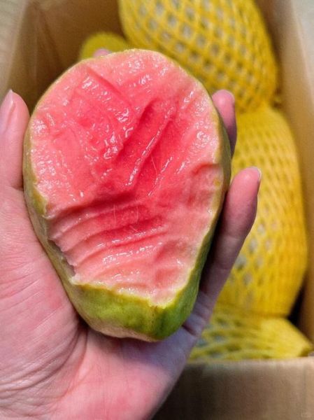 芭乐好吃吗_芭乐什么味道-第1张图片-山城妙识 芭乐好吃吗_芭乐什么味道-第1张图片-山城妙识