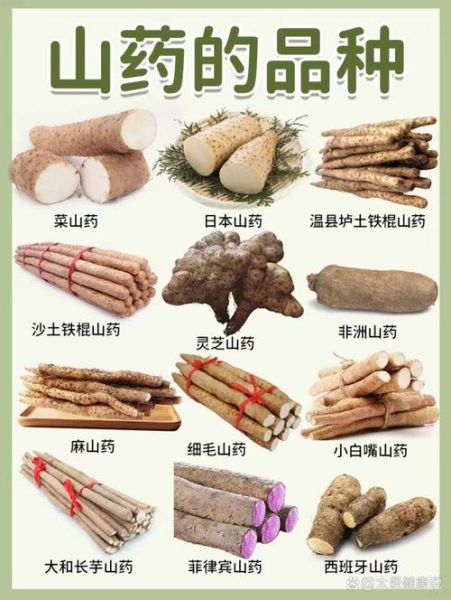 常吃山药有什么好处_山药的功效与作用-第1张图片-山城妙识