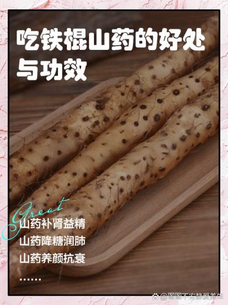 常吃山药有什么好处_山药的功效与作用-第2张图片-山城妙识