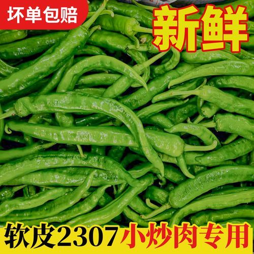 湖南小炒肉用什么辣椒_正宗做法选哪种辣椒-第3张图片-山城妙识 湖南小炒肉用什么辣椒_正宗做法选哪种辣椒-第3张图片-山城妙识