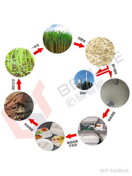 甘蔗渣有什么用途_甘蔗渣可以做什么-第2张图片-山城妙识