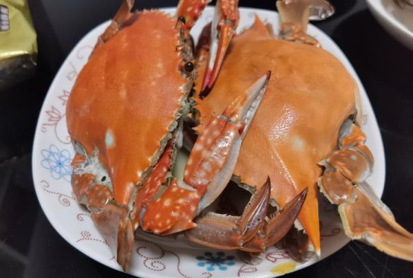 清蒸海蟹怎么蒸_清蒸海蟹蒸多久-第3张图片-山城妙识 清蒸海蟹怎么蒸_清蒸海蟹蒸多久-第3张图片-山城妙识