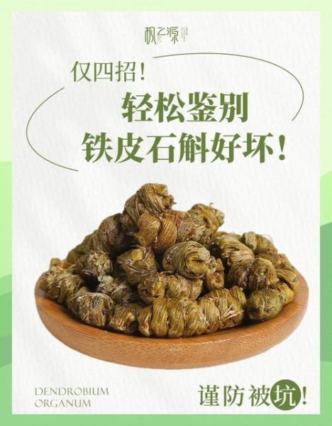 石斛和铁皮石斛的区别_哪个更好-第2张图片-山城妙识 石斛和铁皮石斛的区别_哪个更好-第2张图片-山城妙识