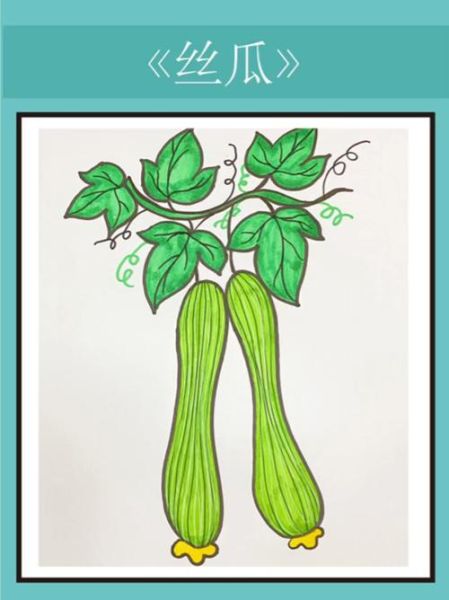 丝瓜图片大全卡通_丝瓜卡通怎么画-第1张图片-山城妙识 丝瓜图片大全卡通_丝瓜卡通怎么画-第1张图片-山城妙识