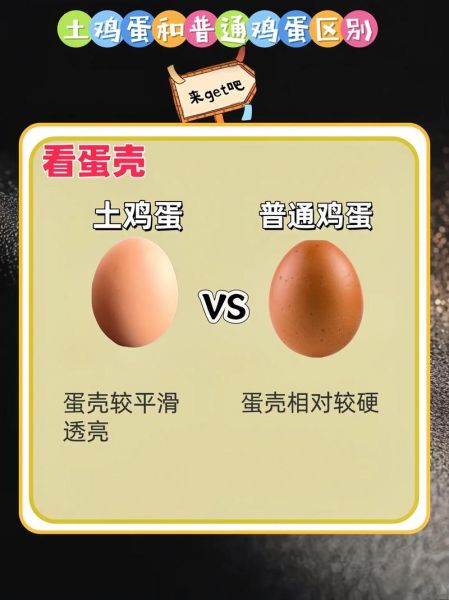 农村土鸡蛋多少钱一斤_农村土鸡蛋怎么辨别真假-第1张图片-山城妙识 农村土鸡蛋多少钱一斤_农村土鸡蛋怎么辨别真假-第1张图片-山城妙识