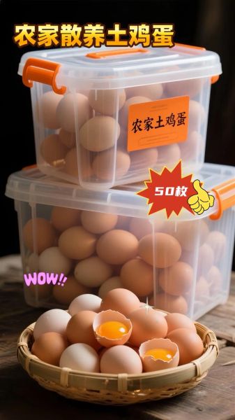 农村土鸡蛋多少钱一斤_农村土鸡蛋怎么辨别真假-第3张图片-山城妙识 农村土鸡蛋多少钱一斤_农村土鸡蛋怎么辨别真假-第3张图片-山城妙识