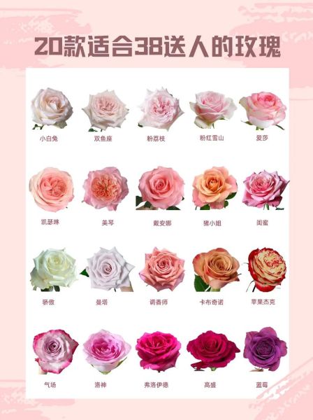100种玫瑰花名字大全_如何挑选适合送礼的玫瑰-第2张图片-山城妙识 100种玫瑰花名字大全_如何挑选适合送礼的玫瑰-第2张图片-山城妙识