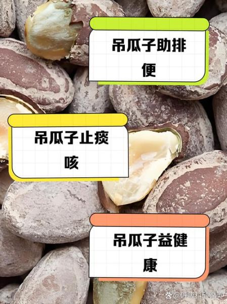 吊瓜子孕妇可以吃吗_孕期吃吊瓜子安全吗-第3张图片-山城妙识 吊瓜子孕妇可以吃吗_孕期吃吊瓜子安全吗-第3张图片-山城妙识