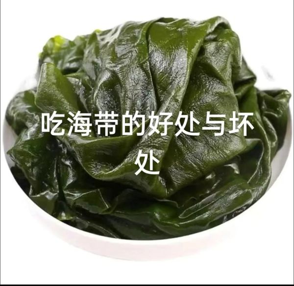 女人吃海带坏处_海带吃多了会宫寒吗-第1张图片-山城妙识 女人吃海带坏处_海带吃多了会宫寒吗-第1张图片-山城妙识