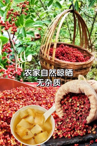 花椒多少钱一斤_2024最新价格行情-第3张图片-山城妙识 花椒多少钱一斤_2024最新价格行情-第3张图片-山城妙识